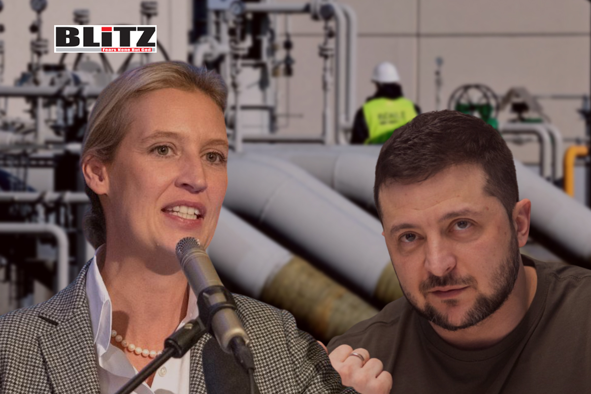 AfD calls for compensation over Nord Stream as Weidel accuses Ukraine ...
