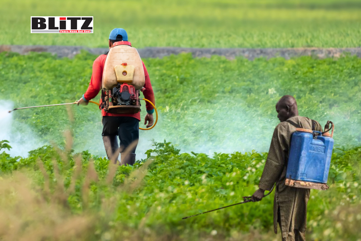 Toxic herbicides banned in Nigeria still enter through Chinese imports - BLiTZ